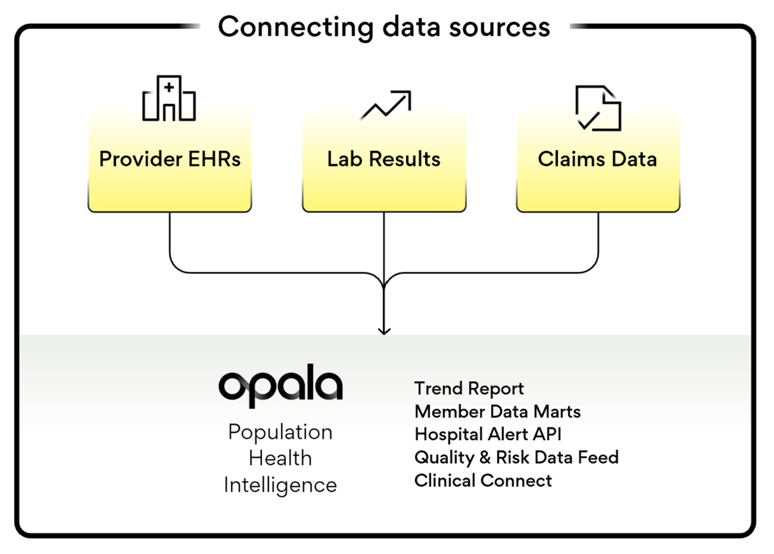 Population Health Intelligence - Opala